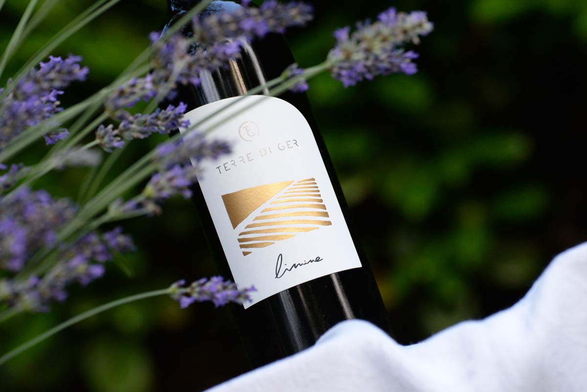 Limine 2018: What they say about it